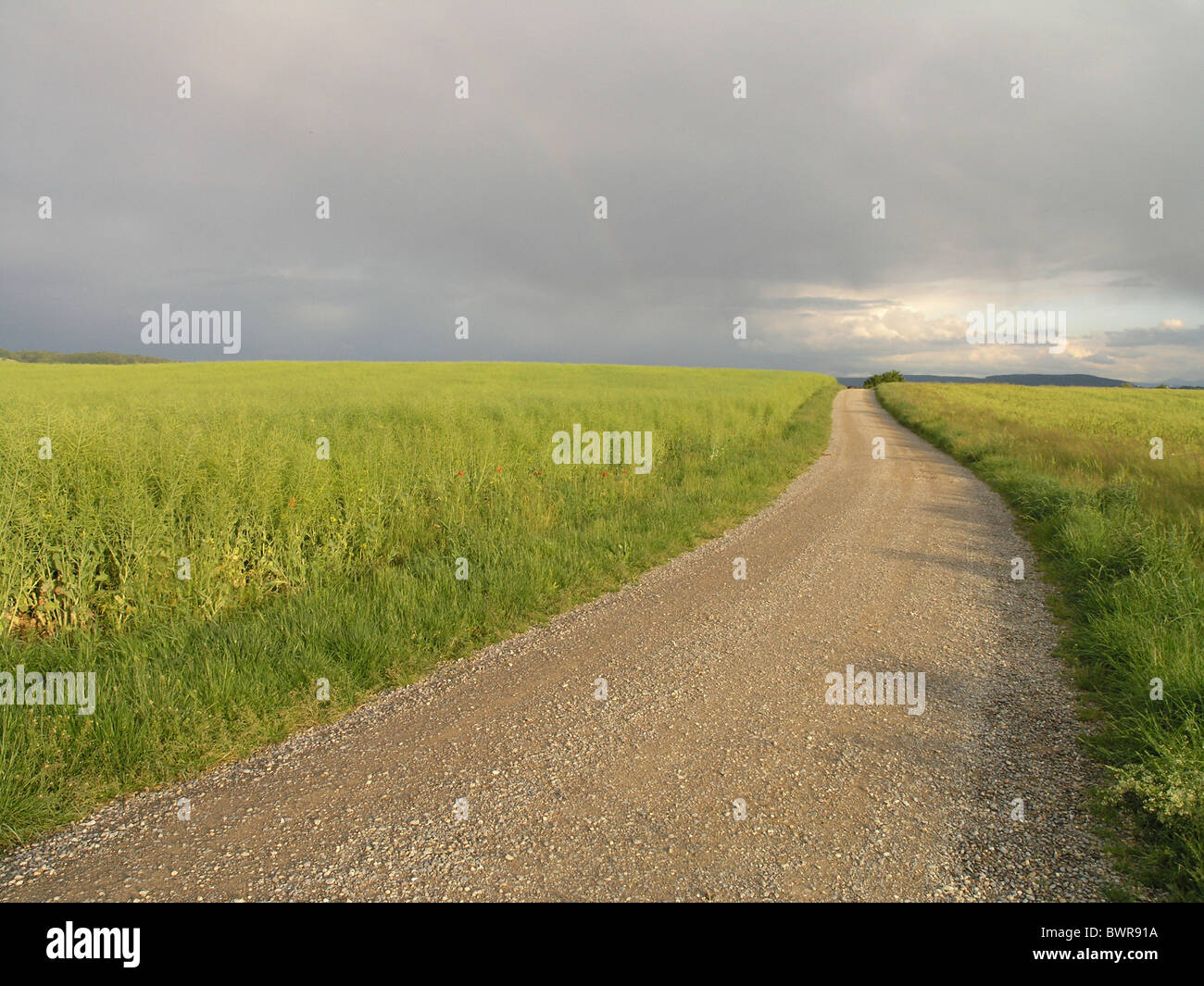 Switzerland Europe path track way lane country road field fields ...