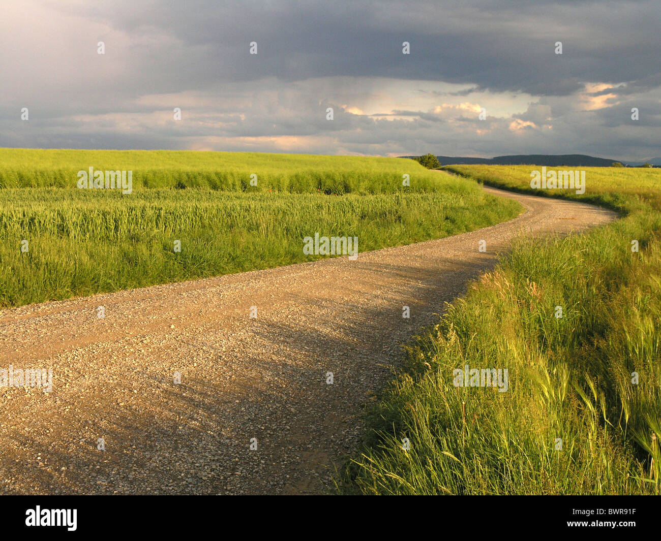 Switzerland Europe path track way lane country road field fields ...