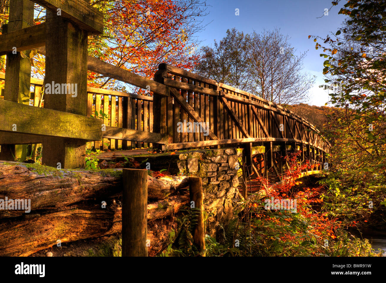 Old wooden footbridge crossing the river Plym at Plymbrigde woods in ...