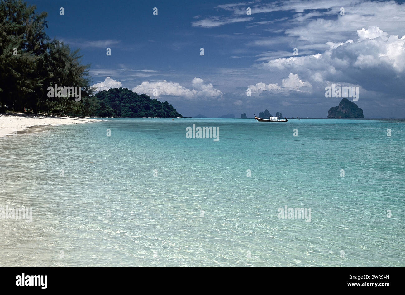 Aurecaria hi-res stock photography and images - Alamy