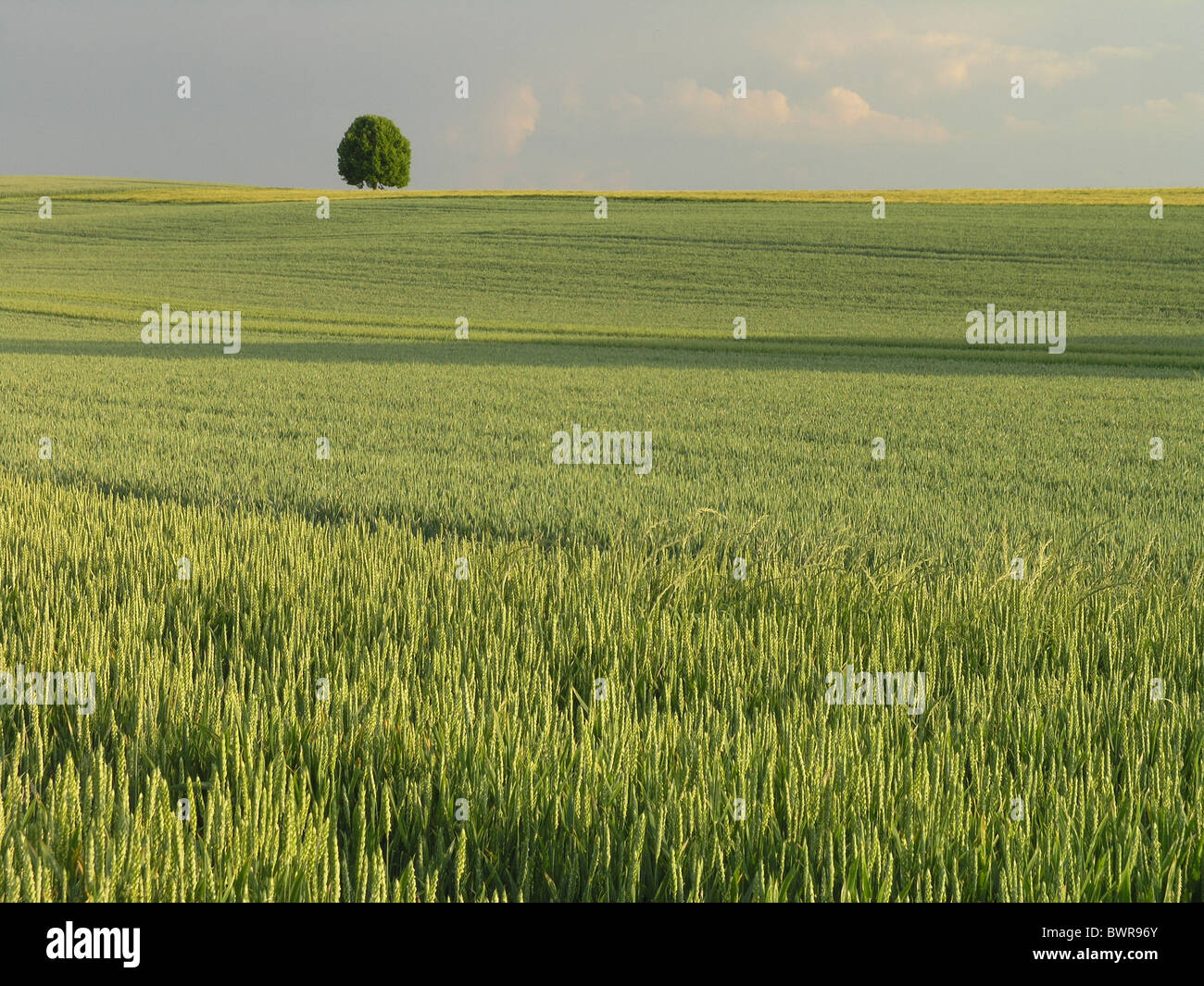 10834495 hi-res stock photography and images - Alamy