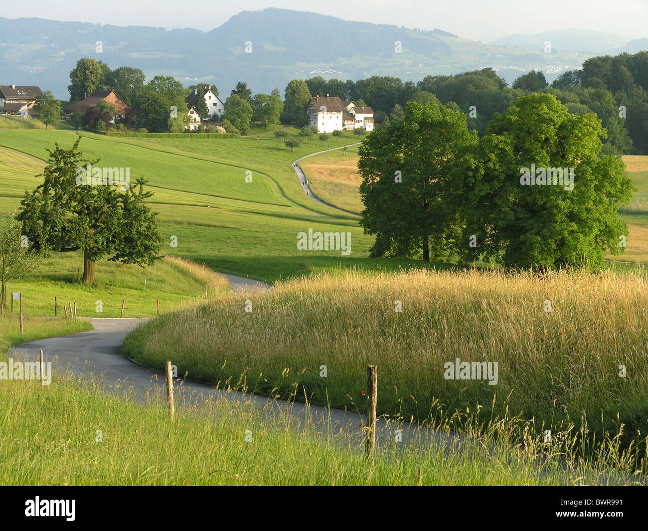 Switzerland Europe Hombrechtikon Canton Zurich meadows fields landscape ...