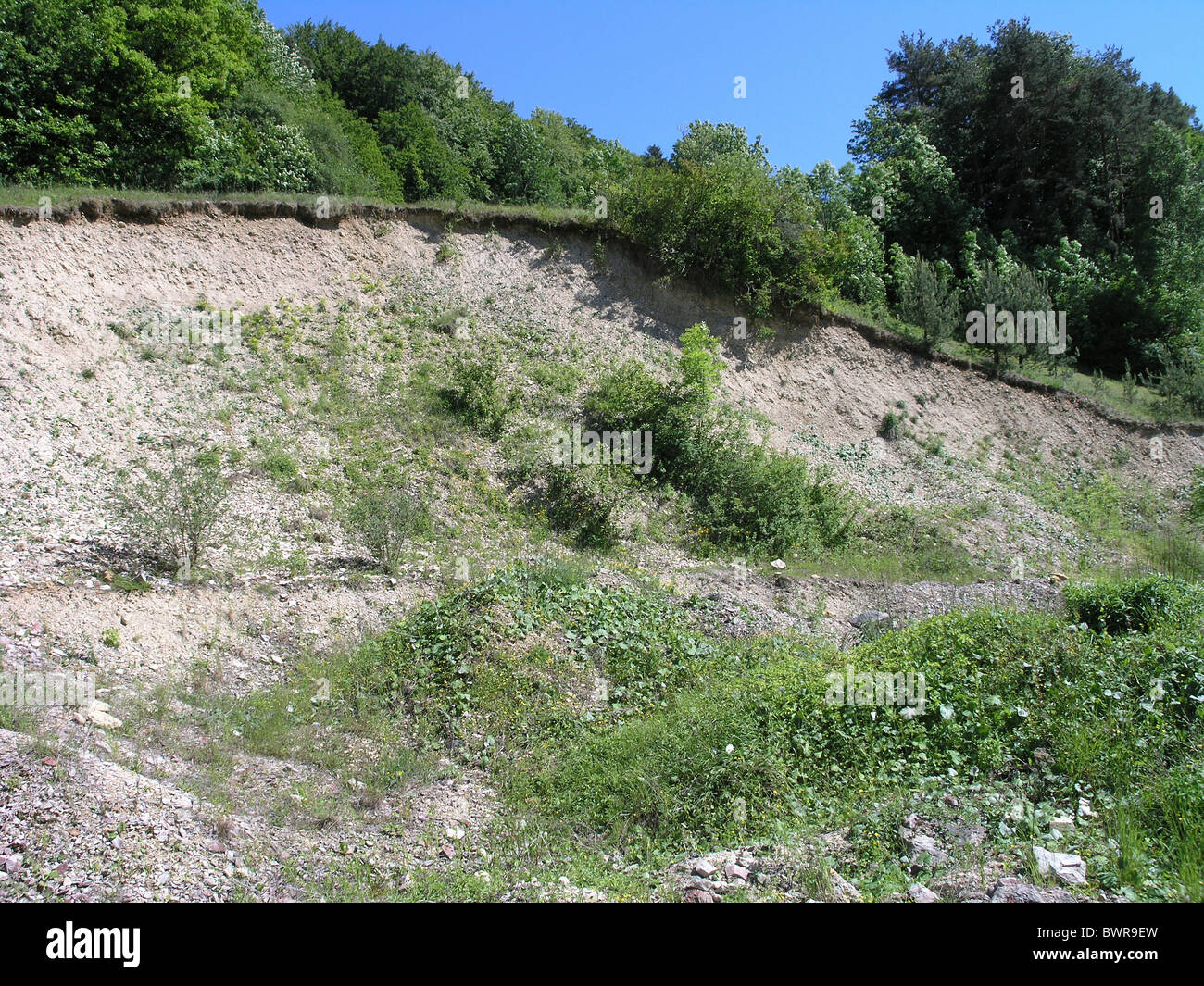 Switzerland Europe Bargen SH gravel pit canton Schaffhausen nature ...