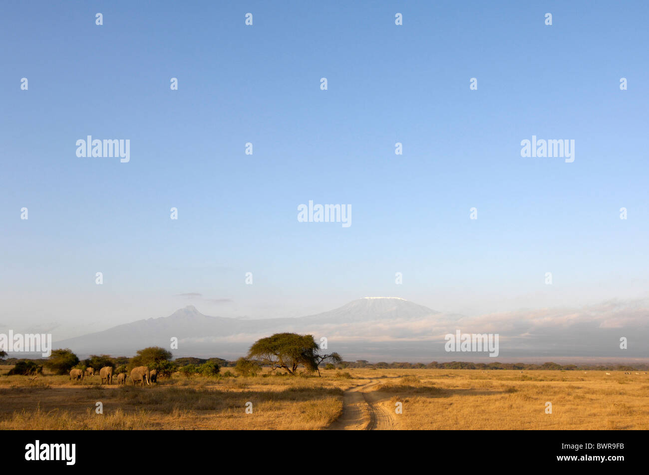 Africa Kenya Kimana area Mount Kilimanjaro scenery landscape landscape ...