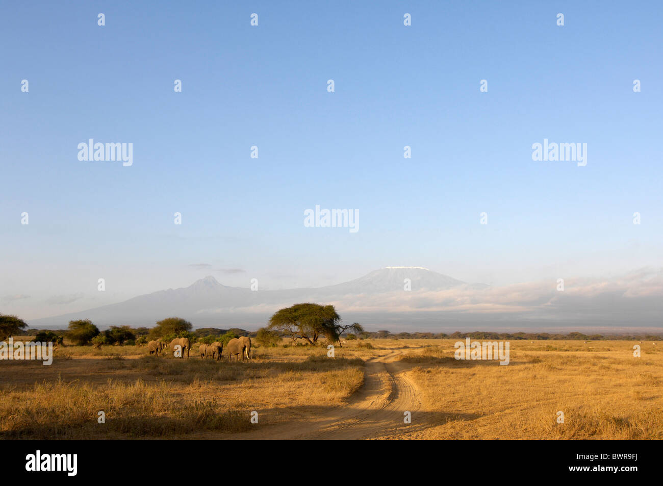 Africa Kenya Kimana area Mount Kilimanjaro scenery landscape landscape ...