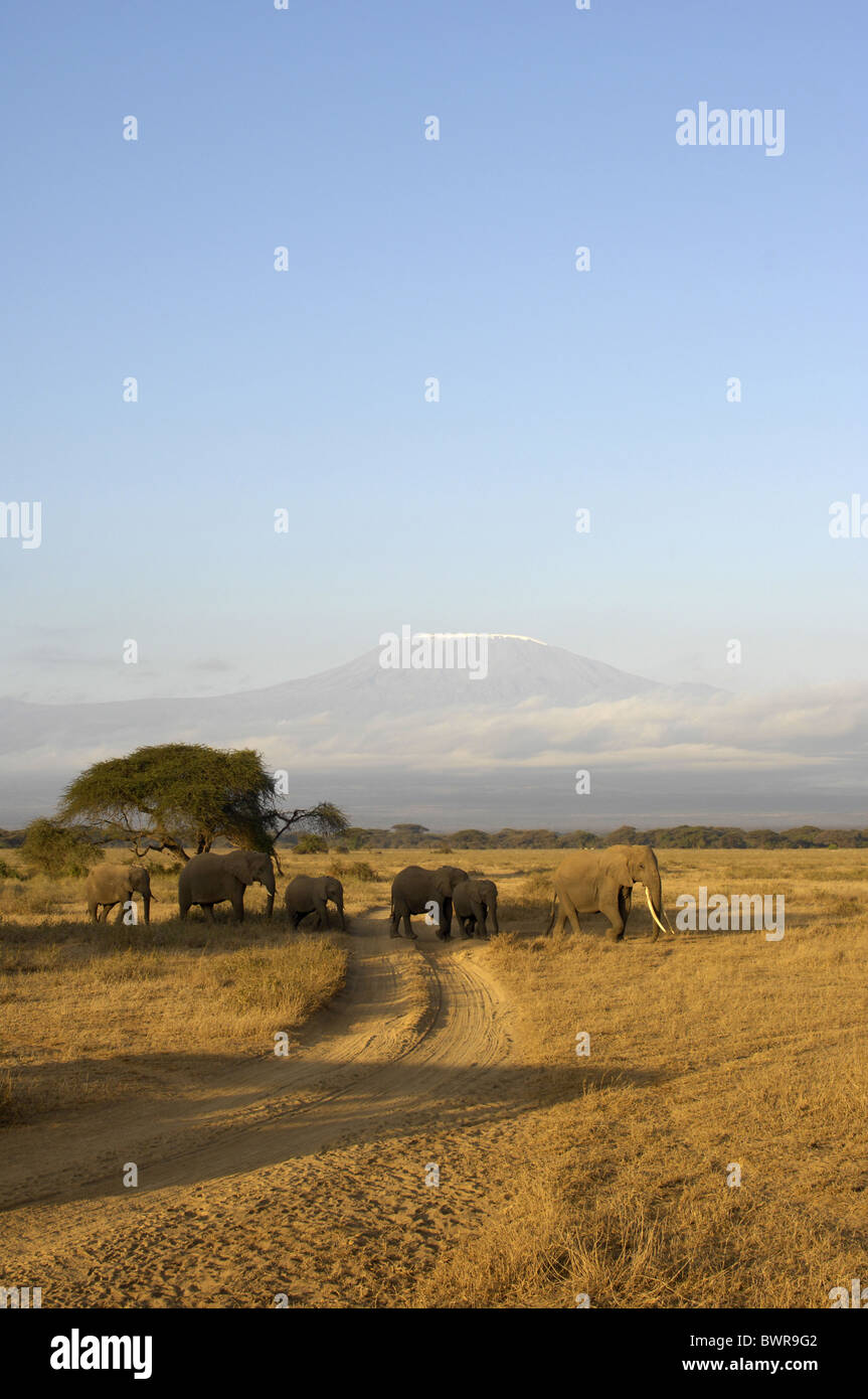 Africa Kenya Kimana area Mount Kilimanjaro scenery landscape landscape ...