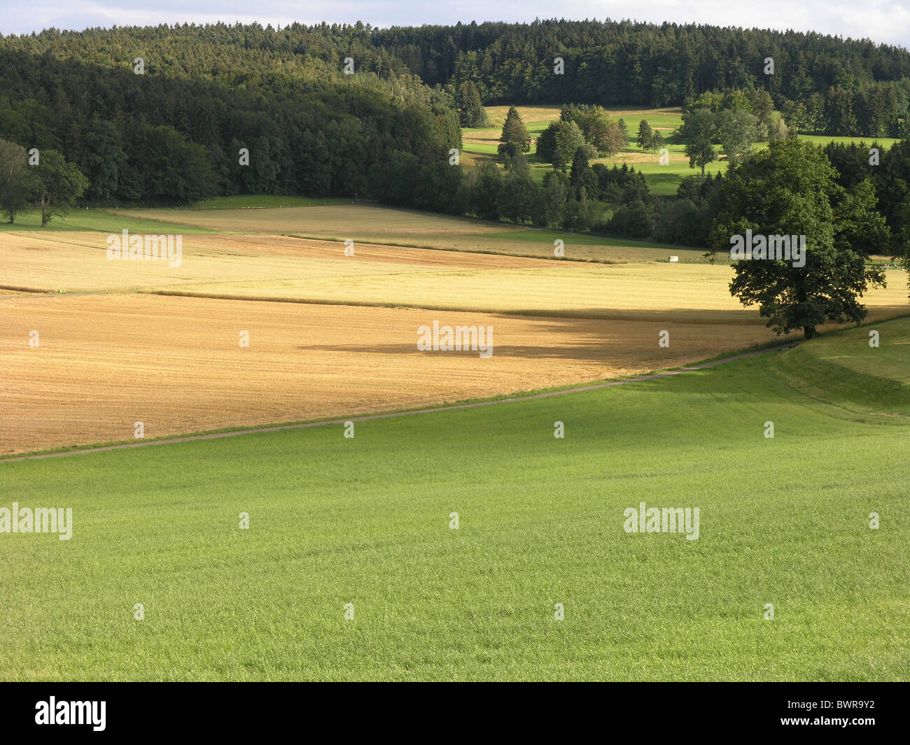 Zumikon hi-res stock photography and images - Alamy