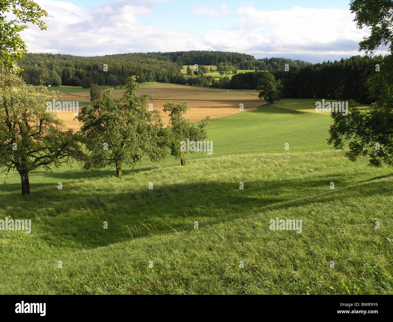 Zumikon hi-res stock photography and images - Alamy