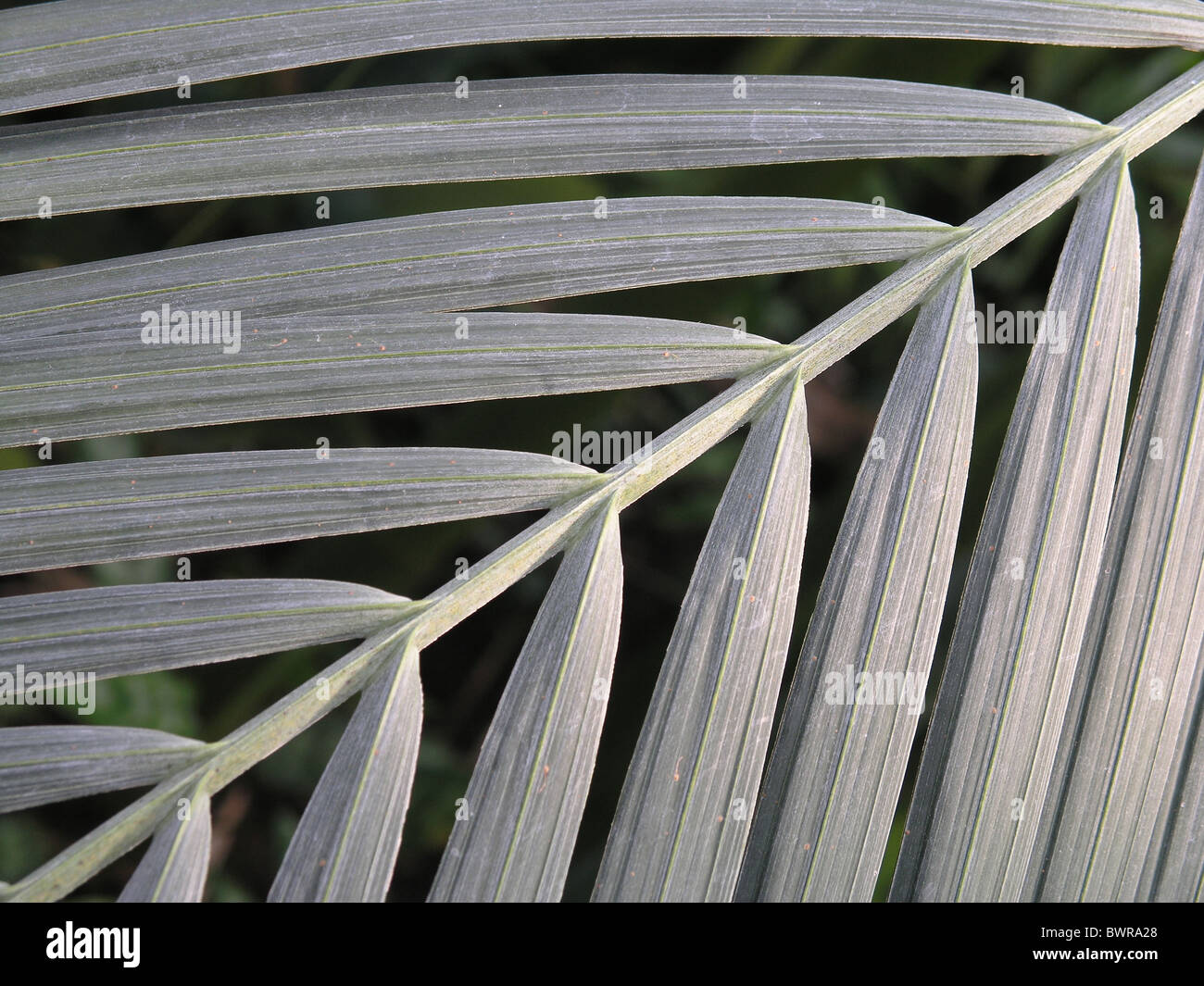 10834621 hi-res stock photography and images - Alamy