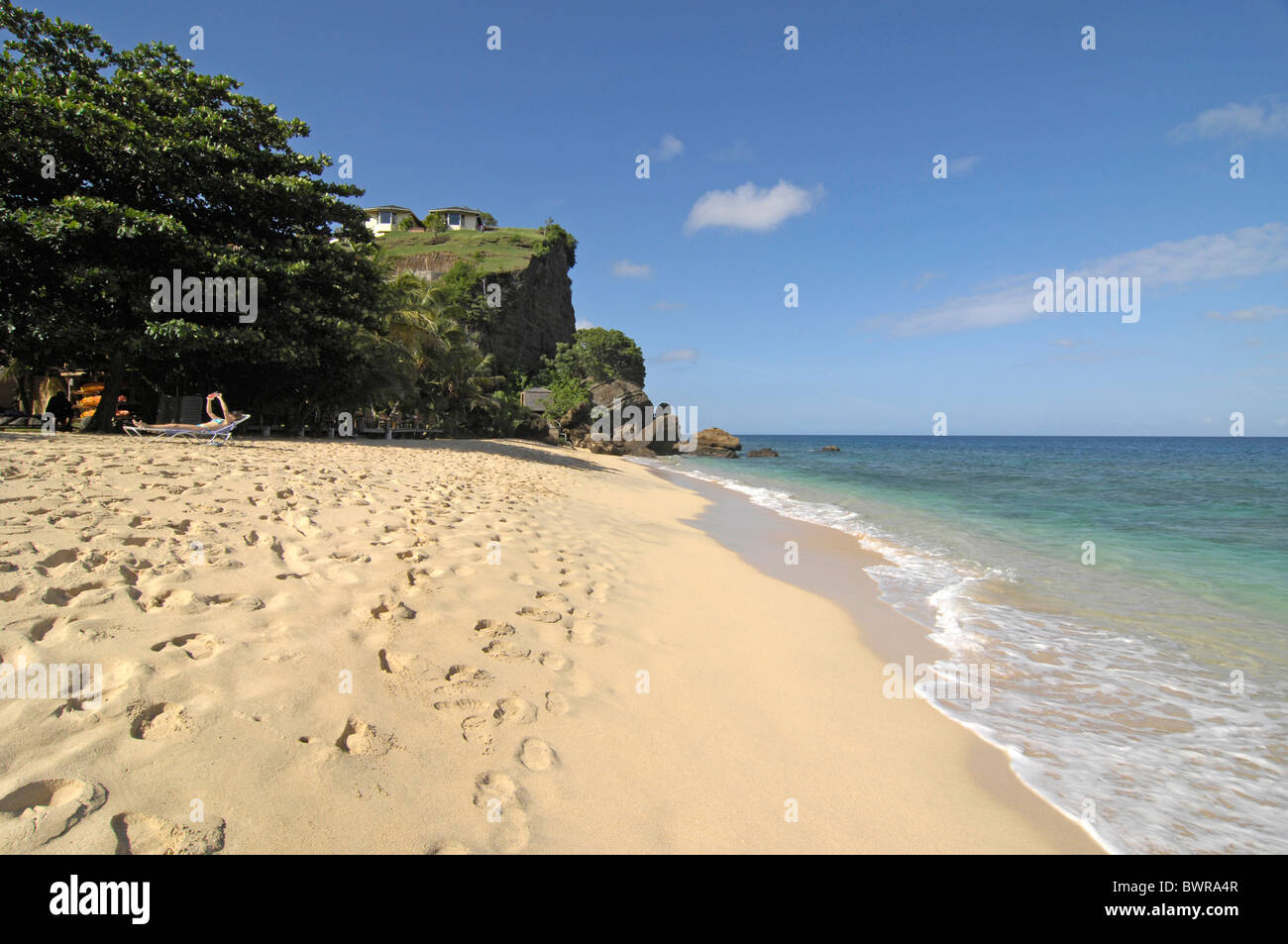 Grenada Carribean Magazine beach sandy beach footsteps coast sea ...