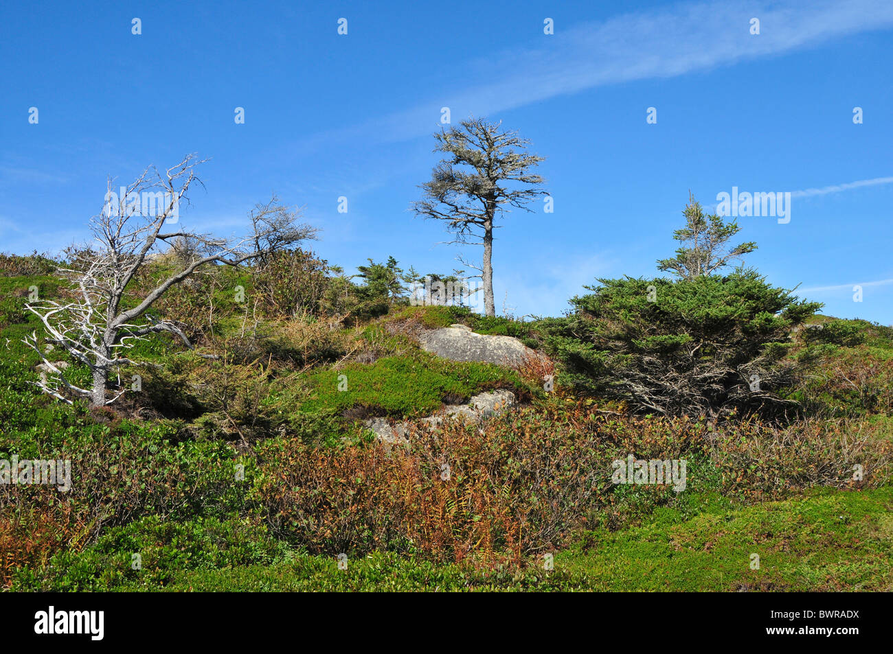 A landscape in New Brunswick, Canada Stock Photo - Alamy