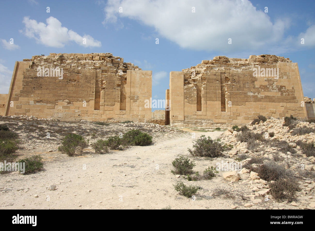 Taposiris Magna Photos From