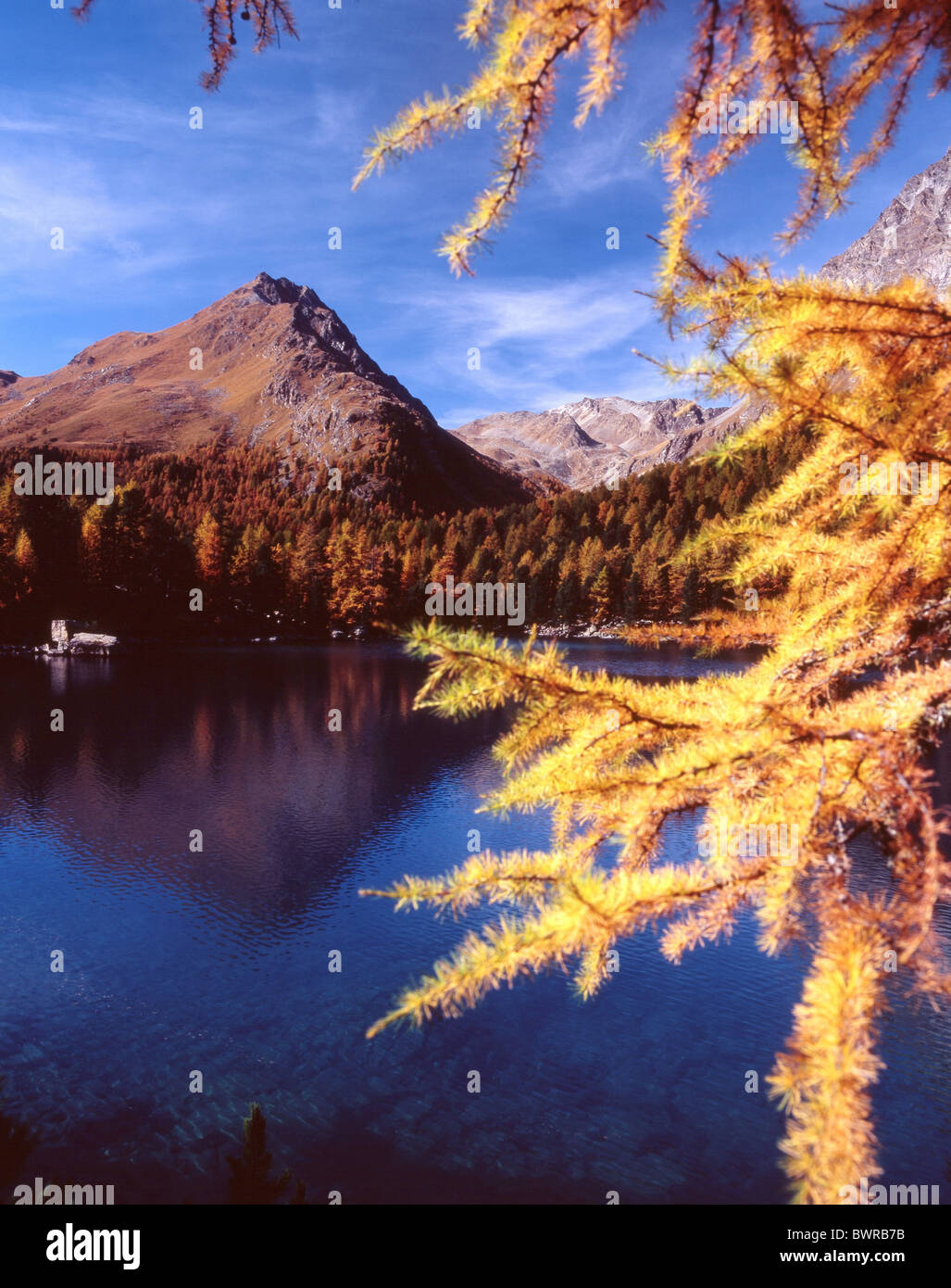 Switzerland Europe Lake Saoseo mountain lake Val di Campo Val da Camp ...