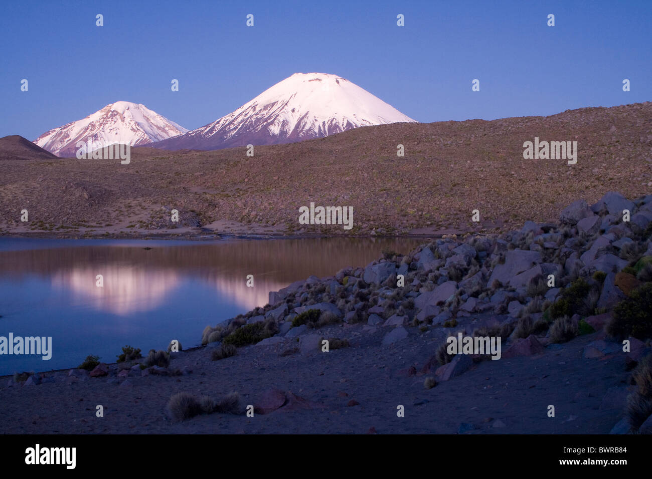 Chile South America Parinacota volcano Pomerape volcano national park ...