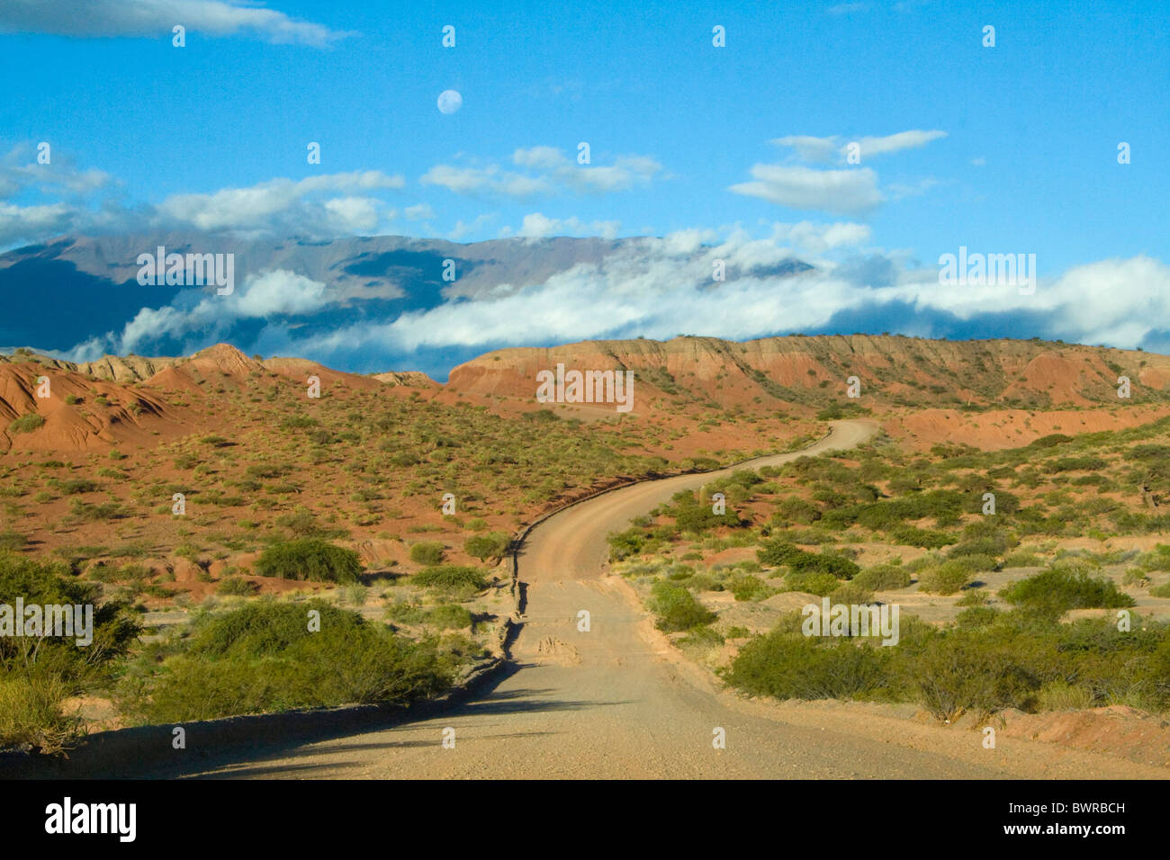 Argentina South America Los Cardones national park South America ...