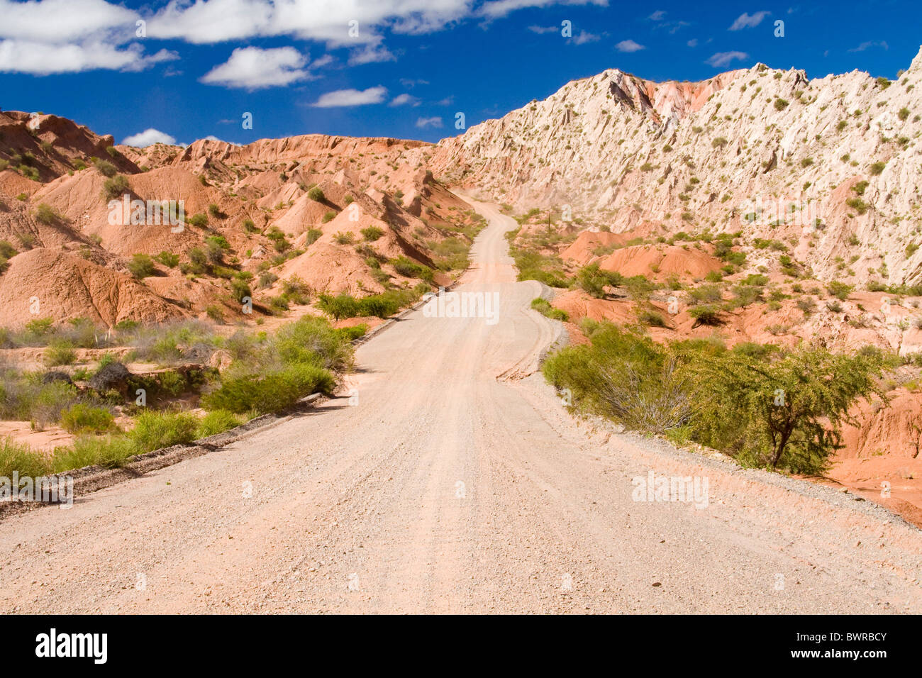 Argentina South America Los Cardones national park South America ...
