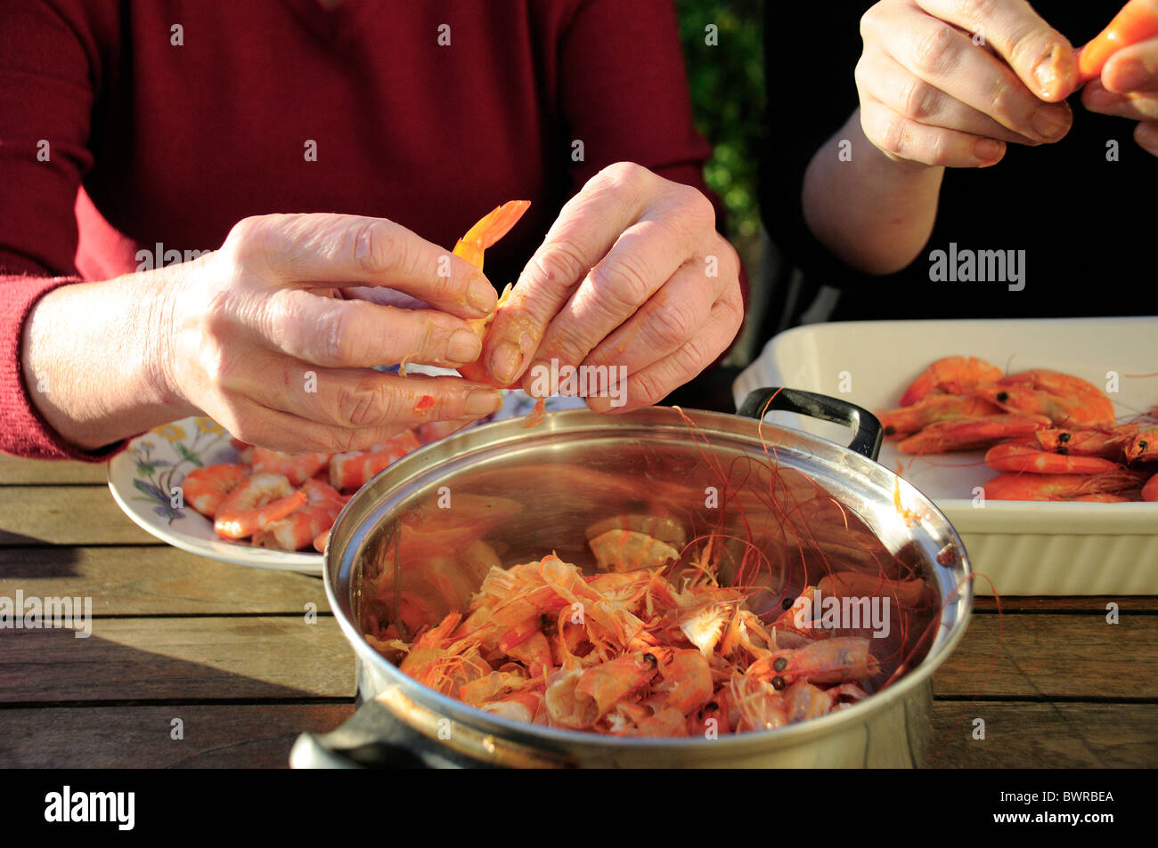 Two Womens hands shelling cooked prawns over pot outside Stock Photo ...