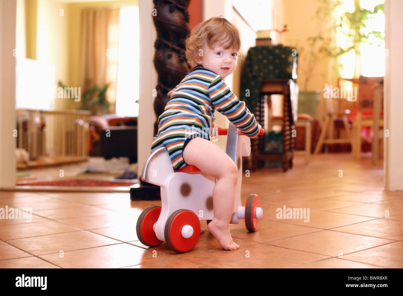 Alone animals hi-res stock photography and images - Alamy