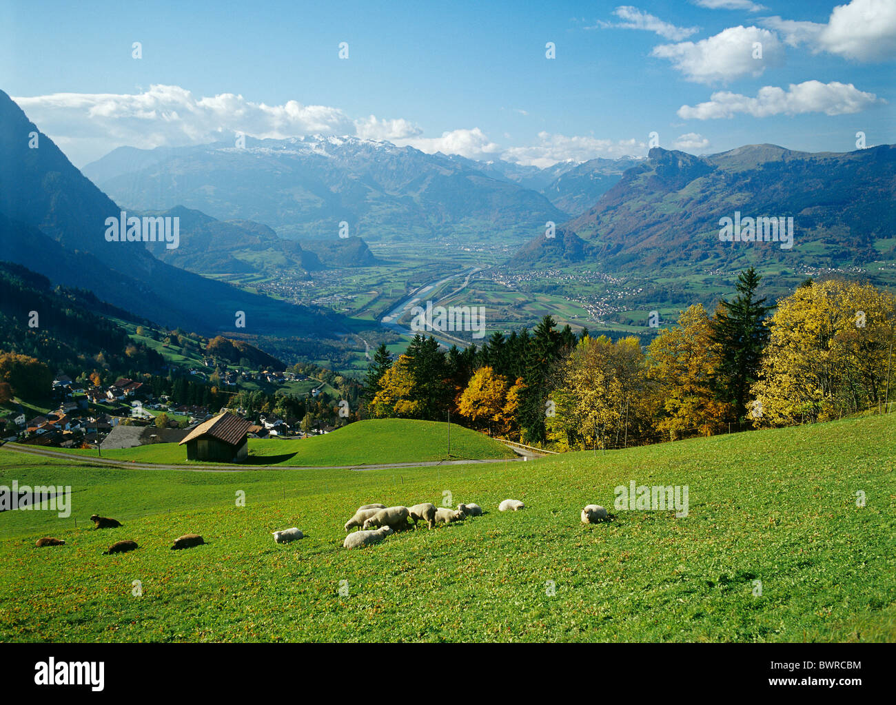 Liechtenstein Europe Triesenberg Landscape Sheep Meadow Switzerland ...