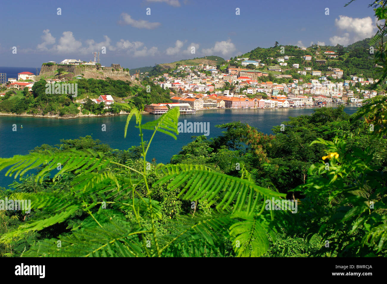 Grenada St. George's Caribbean Island Town City Overview Overlook Coast ...
