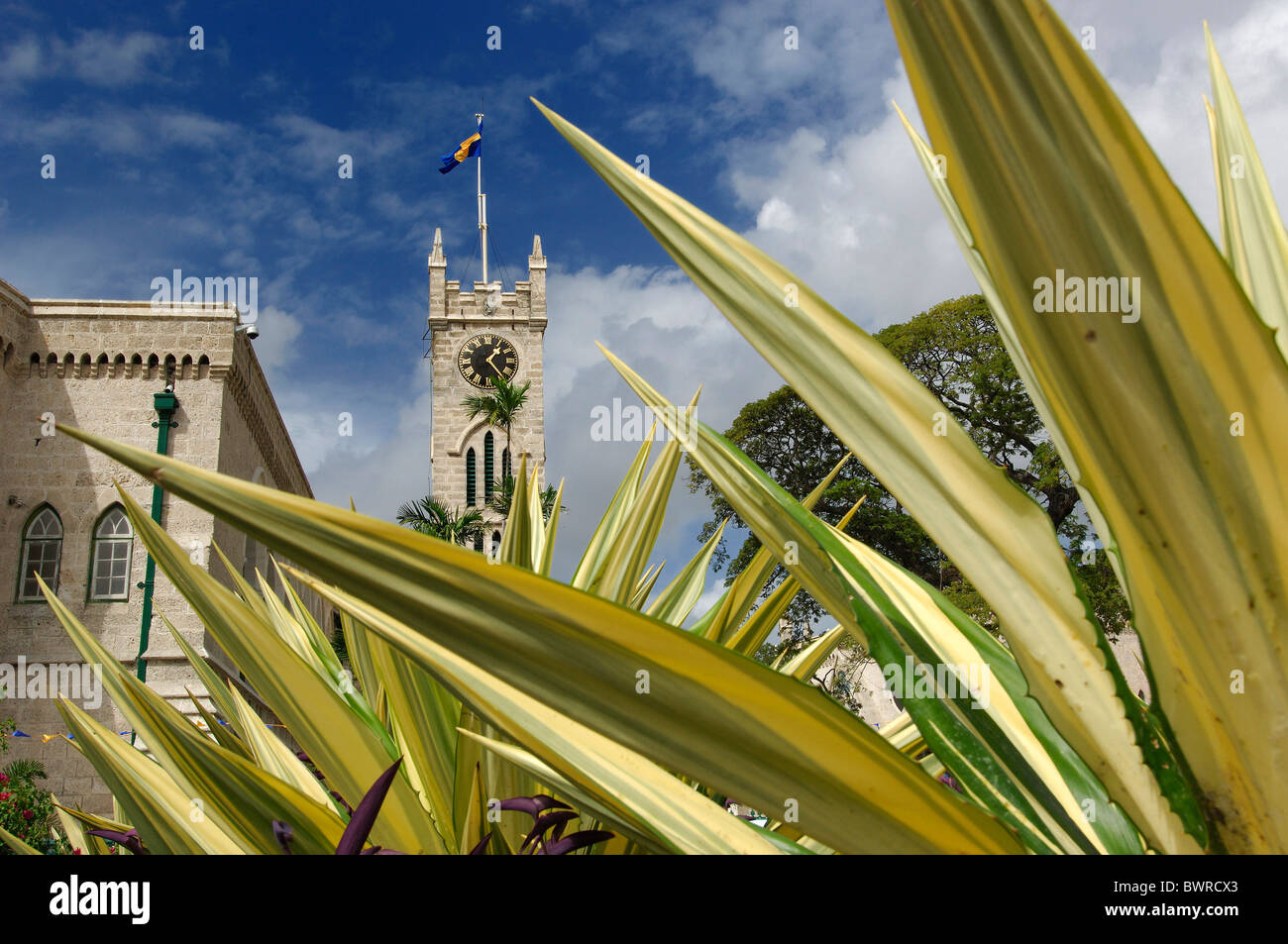 Barbados Parliament Bridgetown city Caribbean Island Town Building ...
