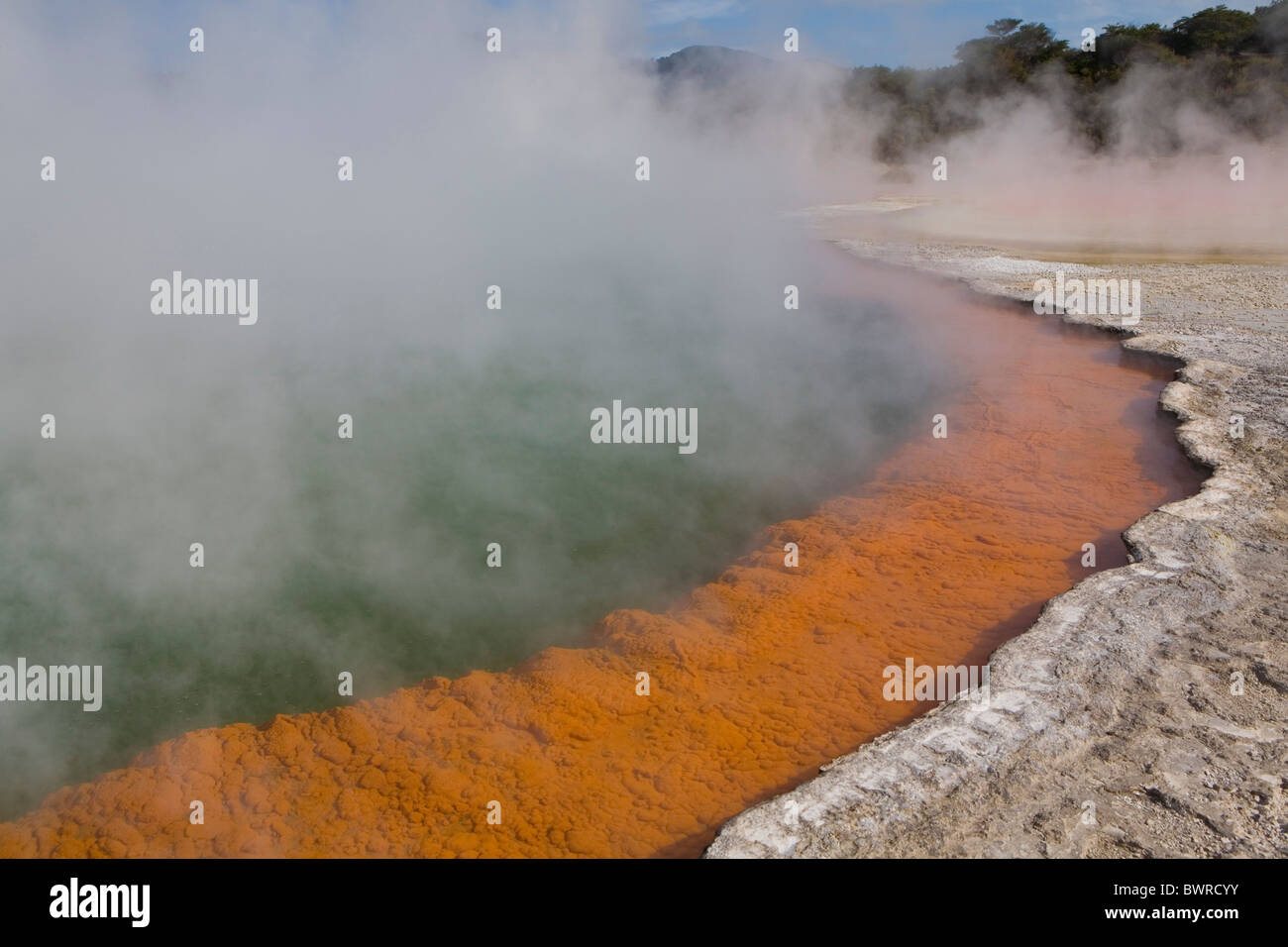 New Zealand Champagne Pool Algae Hot springs Hot spring Water Steam ...