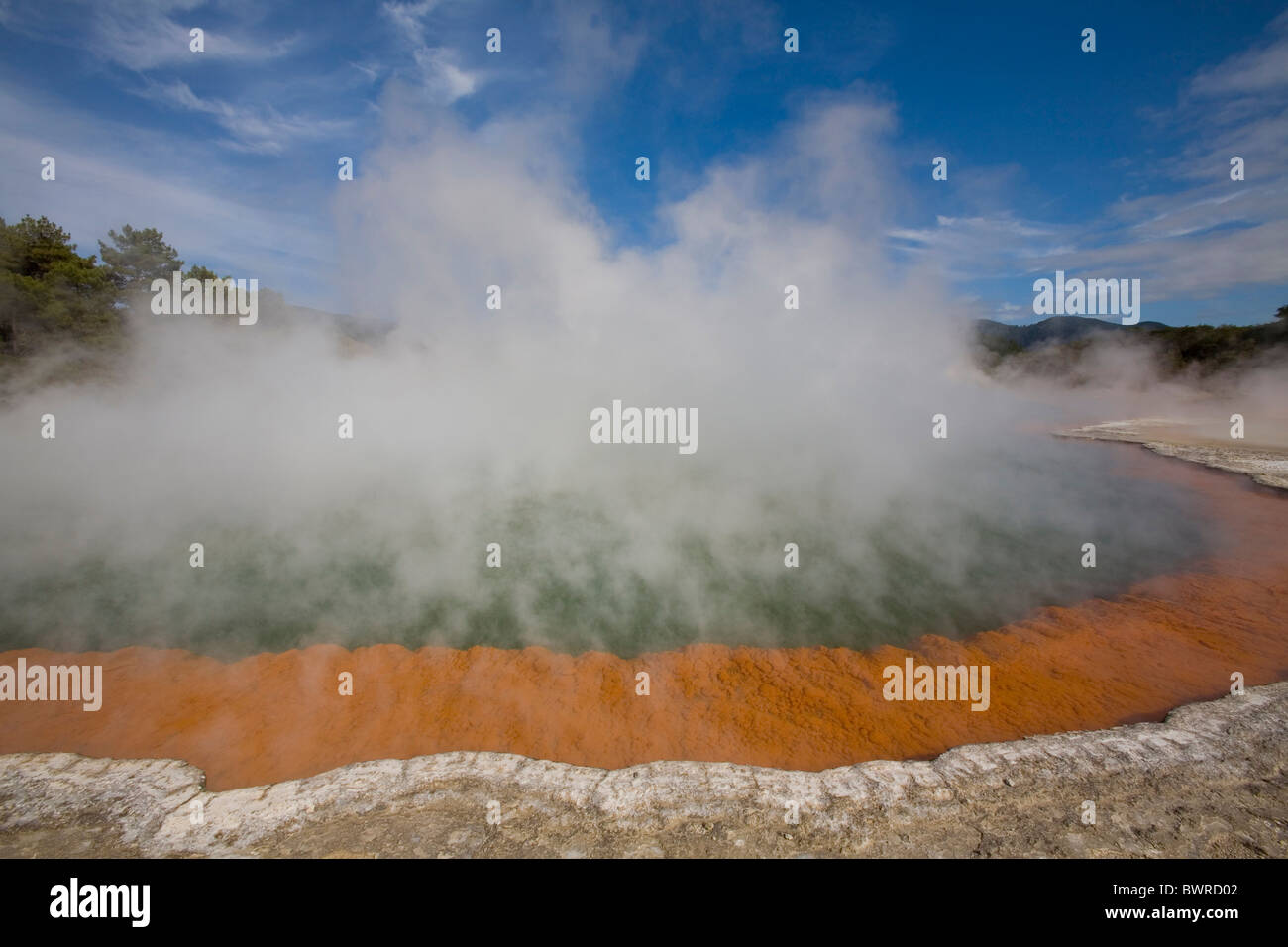 New Zealand Champagne Pool Algae Hot springs Hot spring Water Steam ...