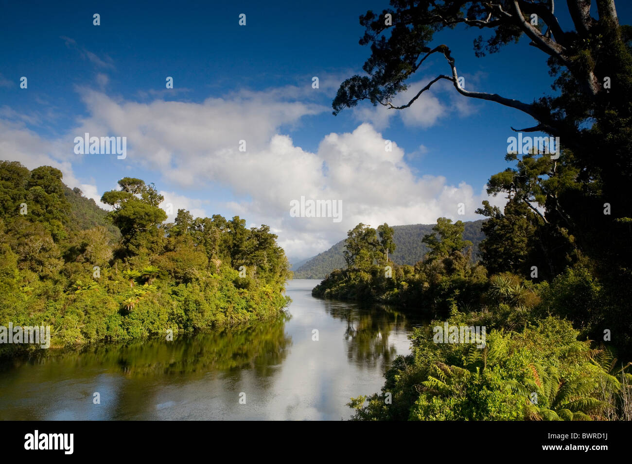 New Zealand Moeraki River South island Lake Water Rainforest Rain ...