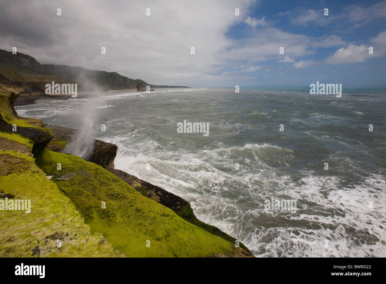 New Zealand Pebble Beach Algae Flora Coast Sea Water Waves Cliff Cliffs ...