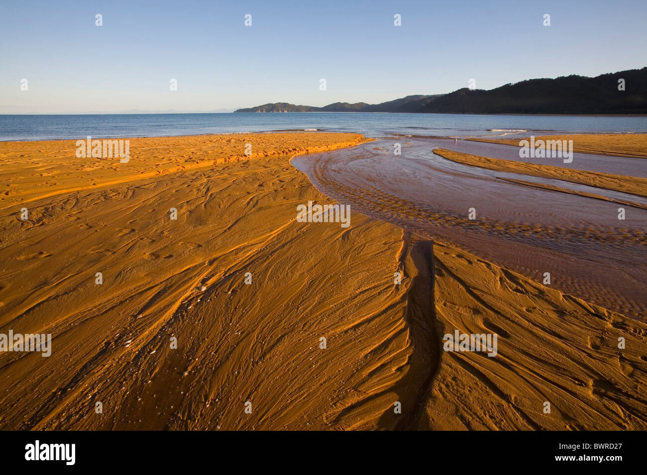New Zealand Totaranui Beach South island Abel Tasman national park Sea ...