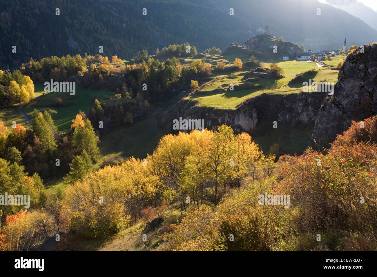 Switzerland Europe Ardez Engadin valley Lower Engadine Trees Yellow ...