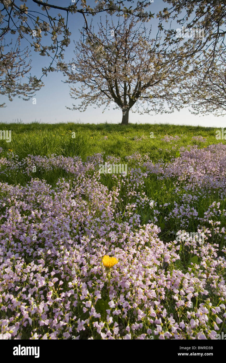 Basel Country High Resolution Stock Photography and Images - Alamy