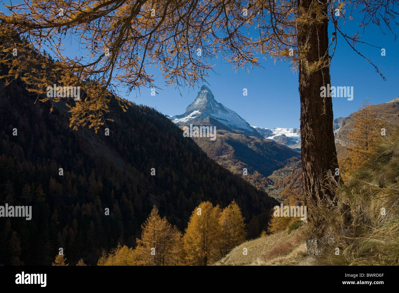 Switzerland Europe Matterhorn Trees Mountain Mountains Alpine Alps ...
