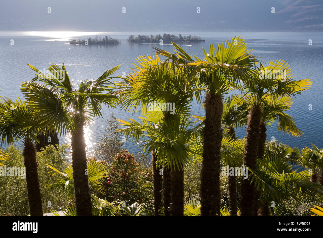 Switzerland Europe Ronco Lake Maggiore Canton Ticino Water Landscape ...