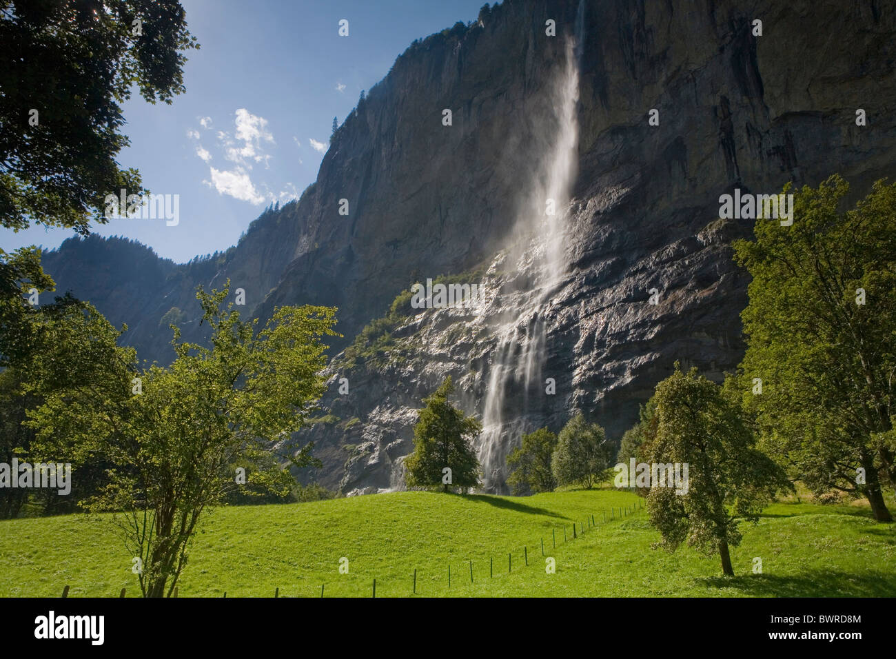 Switzerland Europe Staubbach falls Trees Canton Bern Berne Bernese ...