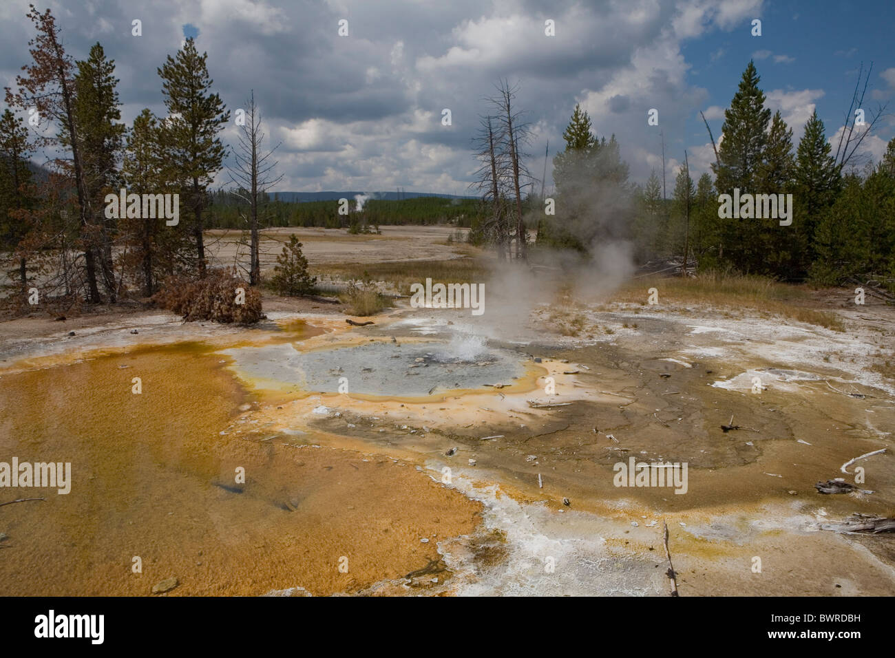 10843482 hi-res stock photography and images - Alamy