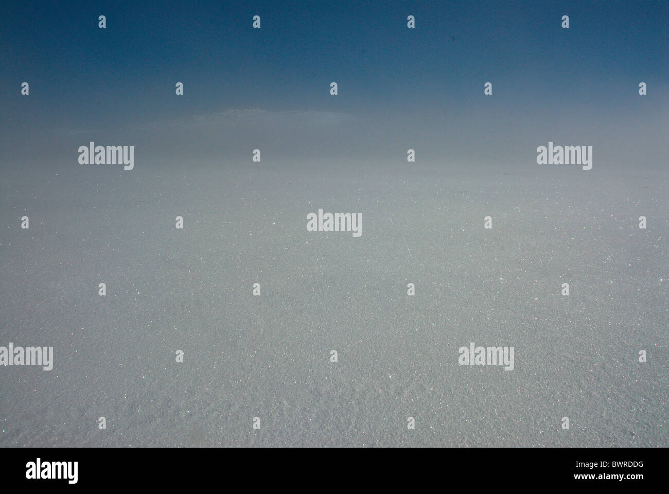 Denali national park USA America United States North America Alaska ...