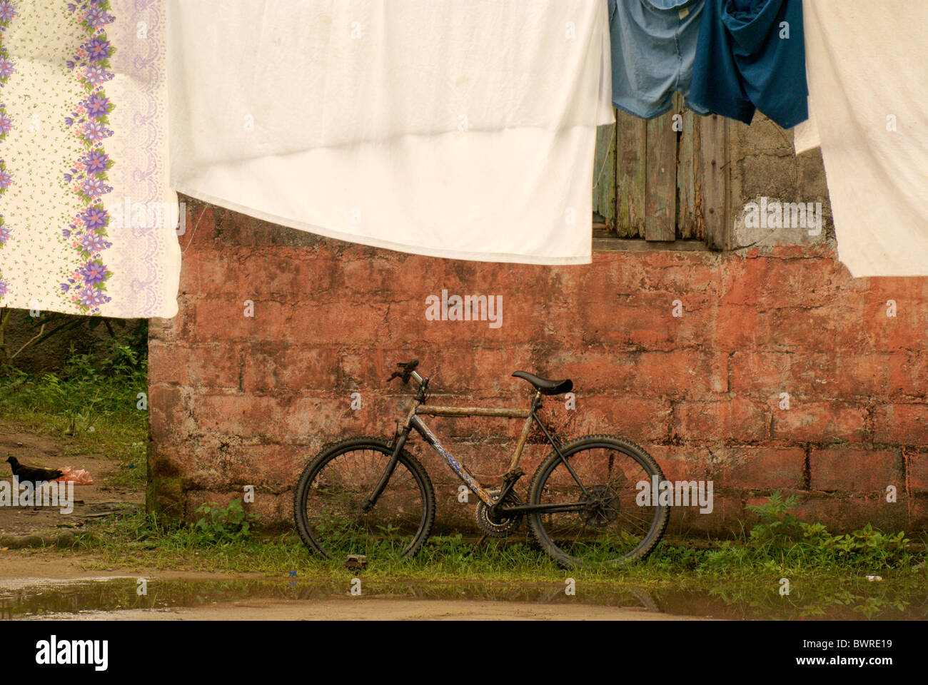 Bicycle leaning against a brick wall and clothes hanging on a laundry ...