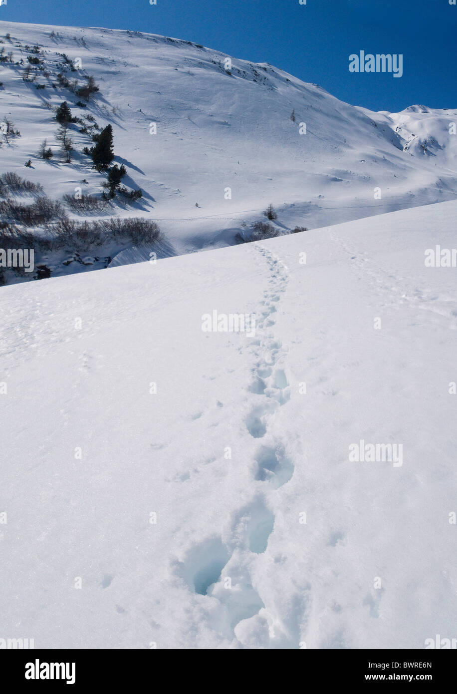 Switzerland Europe Schatzalp Davos Canton Grisons Graubunden Grisons ...