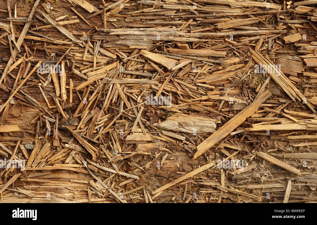 Decomposed the old rotted wood - industrial waste Stock Photo - Alamy