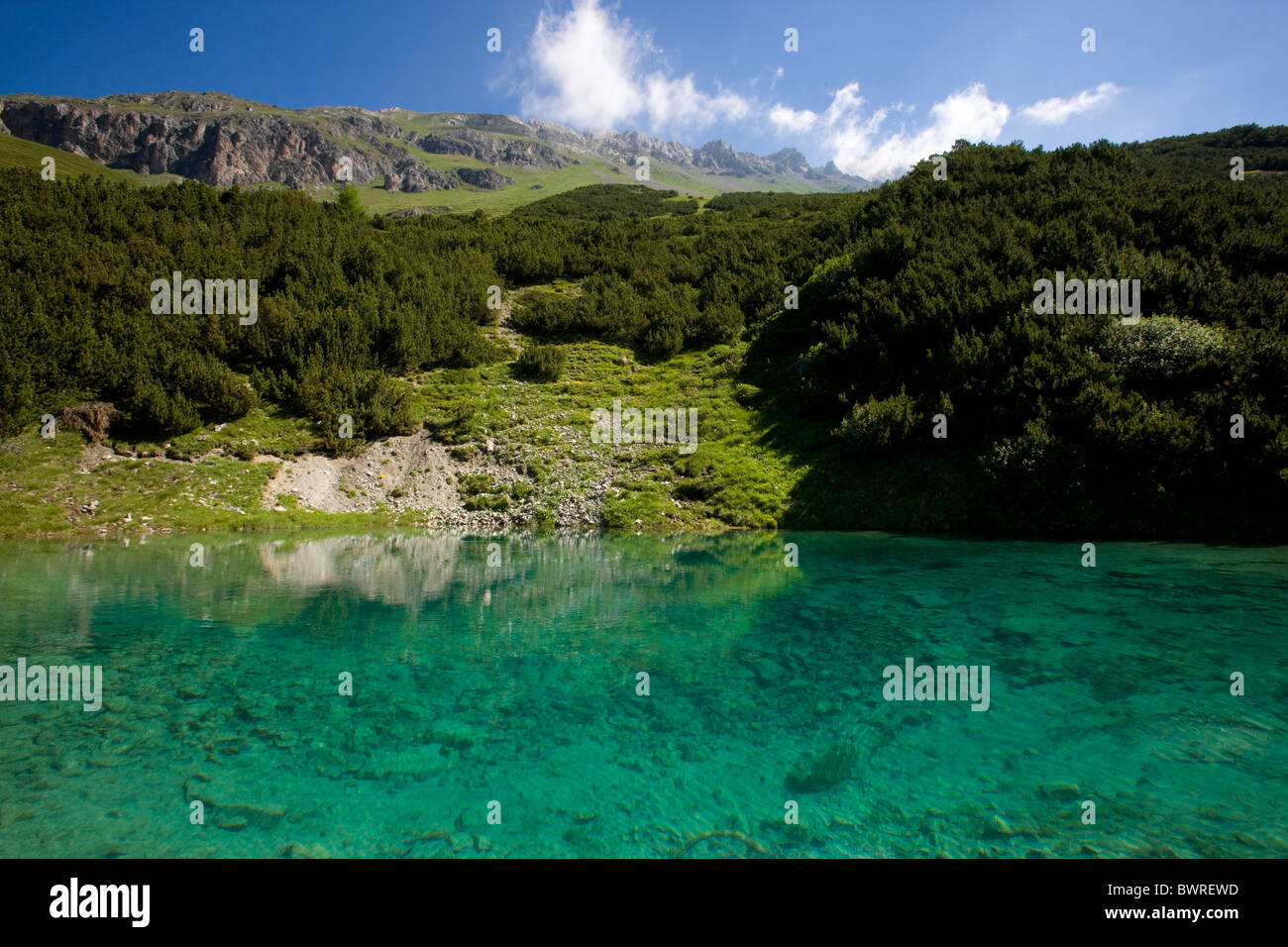 Switzerland Europe Crap Alv Canton Grisons Graubunden Grisons Parc Ela ...