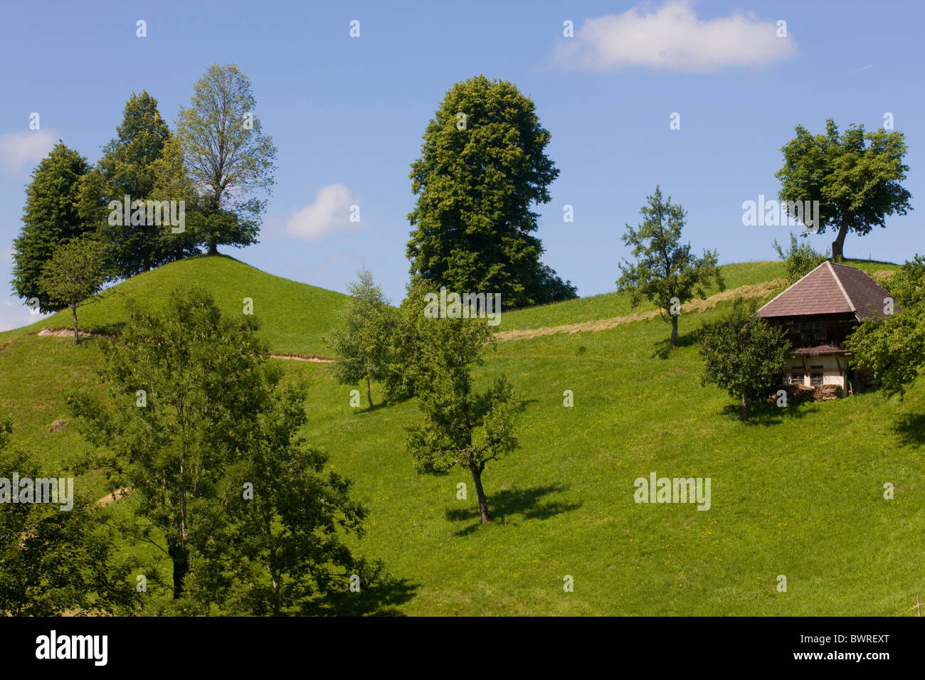 Eriz High Resolution Stock Photography and Images - Alamy