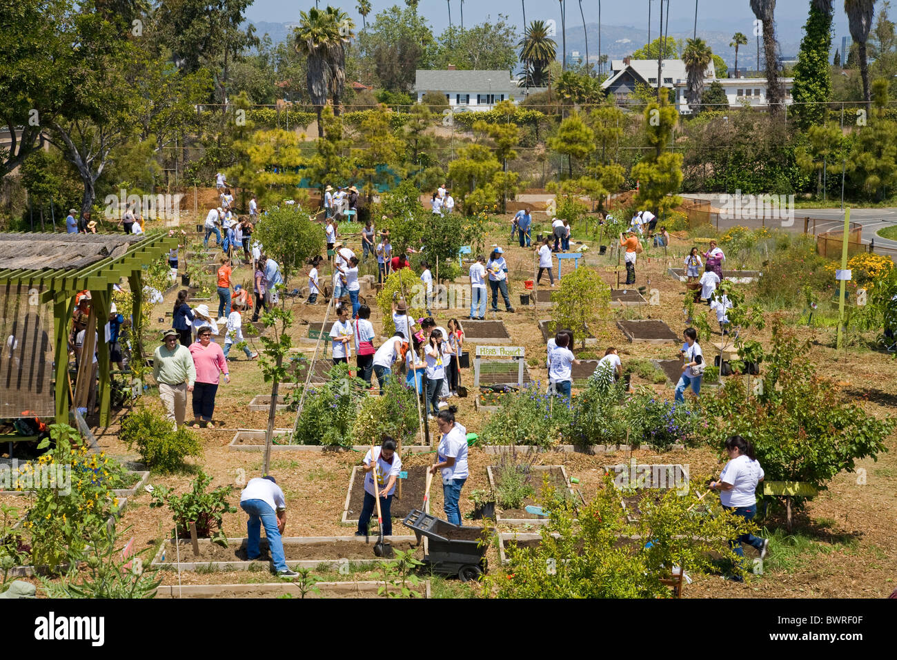 Kids community garden hi-res stock photography and images - Alamy