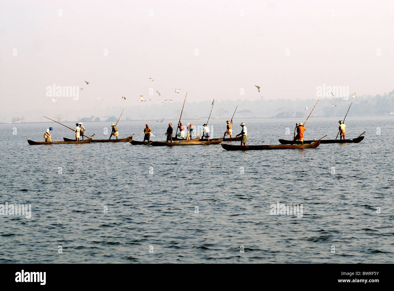 BACKWATERS OF CHERAI KERALA Stock Photo - Alamy