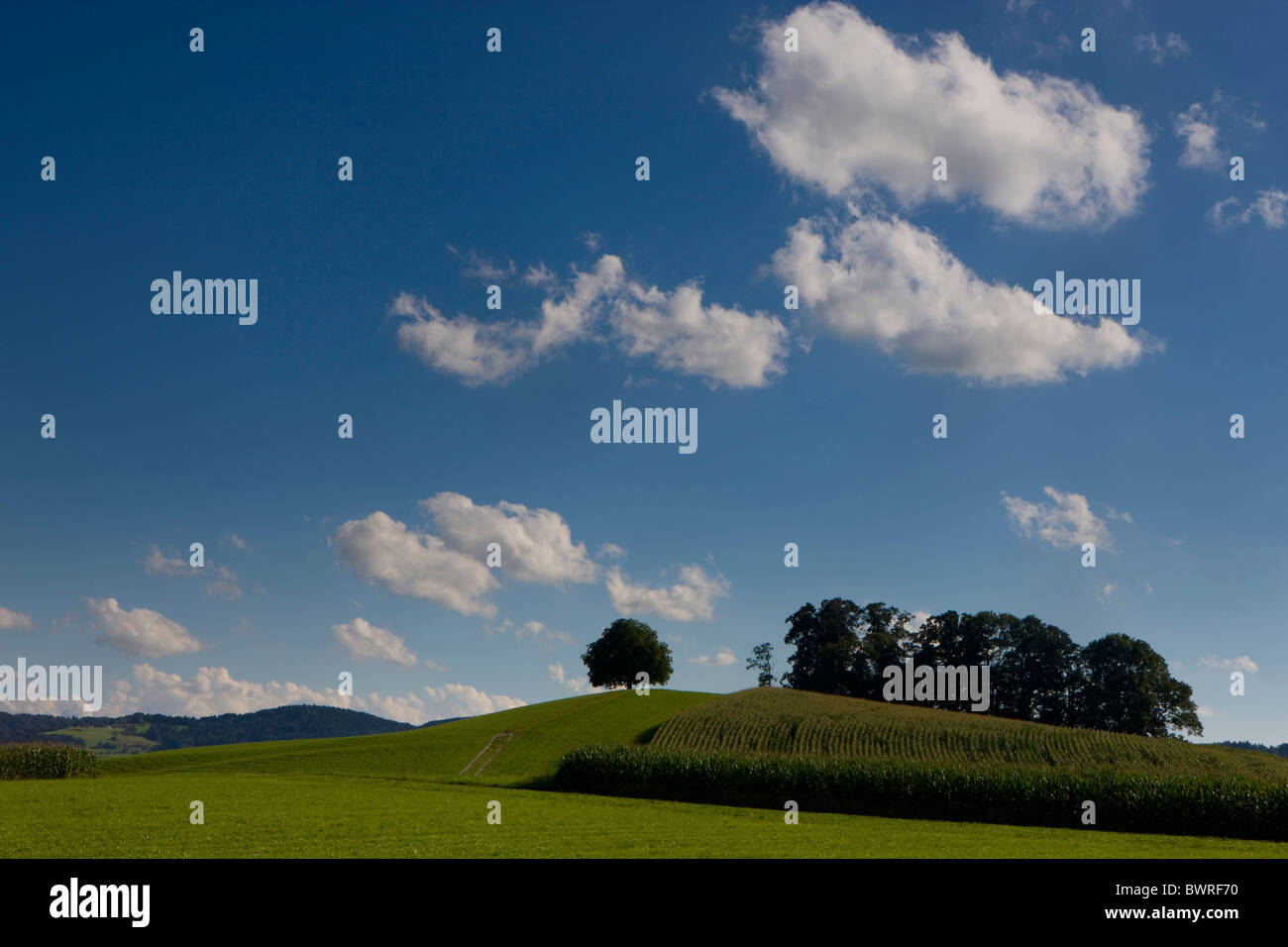 10844468 hi-res stock photography and images - Alamy