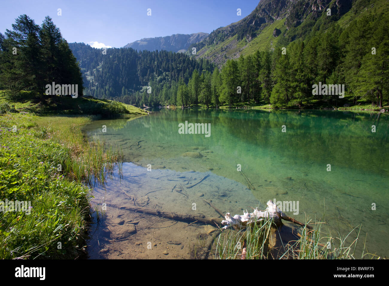 Switzerland Europe Lake Palpuogna Lai da Palpuogna Canton Grisons ...