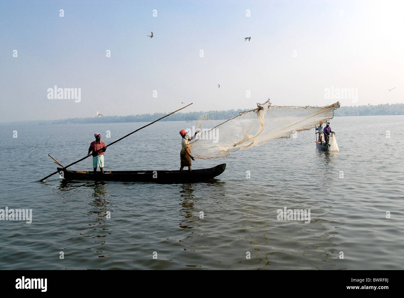 BACKWATERS OF CHERAI KERALA Stock Photo - Alamy