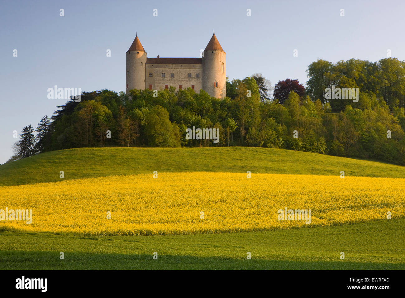 Switzerland Europe Champvent castle Architecture Rape field Spring ...