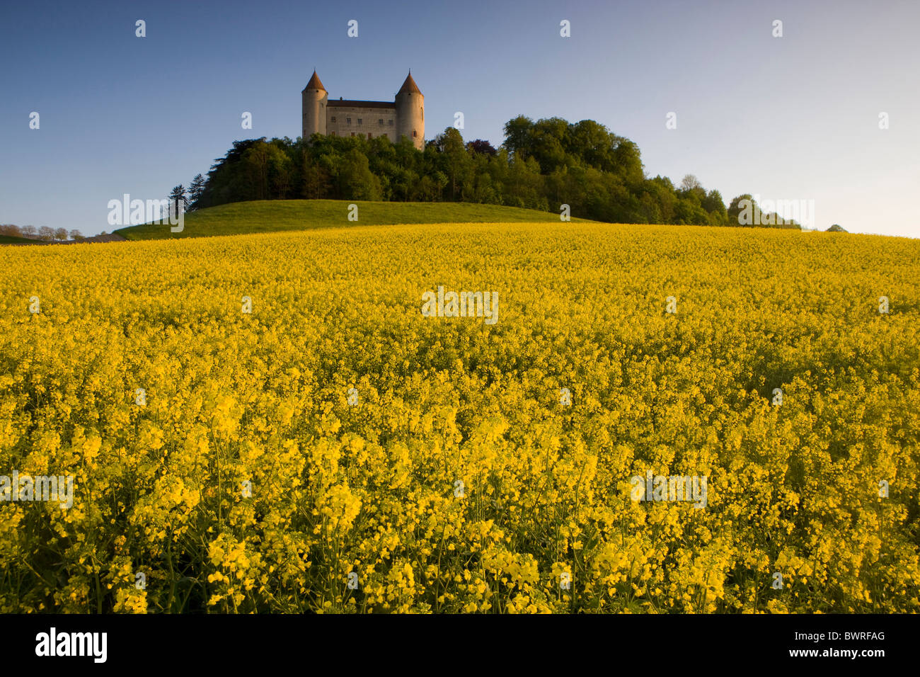Switzerland Europe Champvent castle Architecture Rape field Spring ...