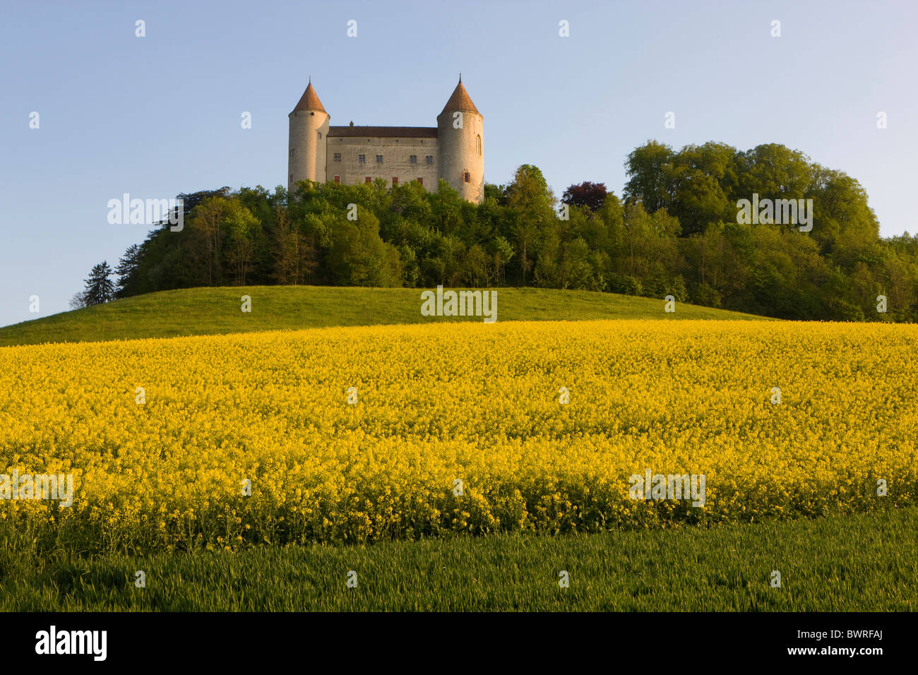 Switzerland Europe Champvent castle Architecture Rape field Spring ...